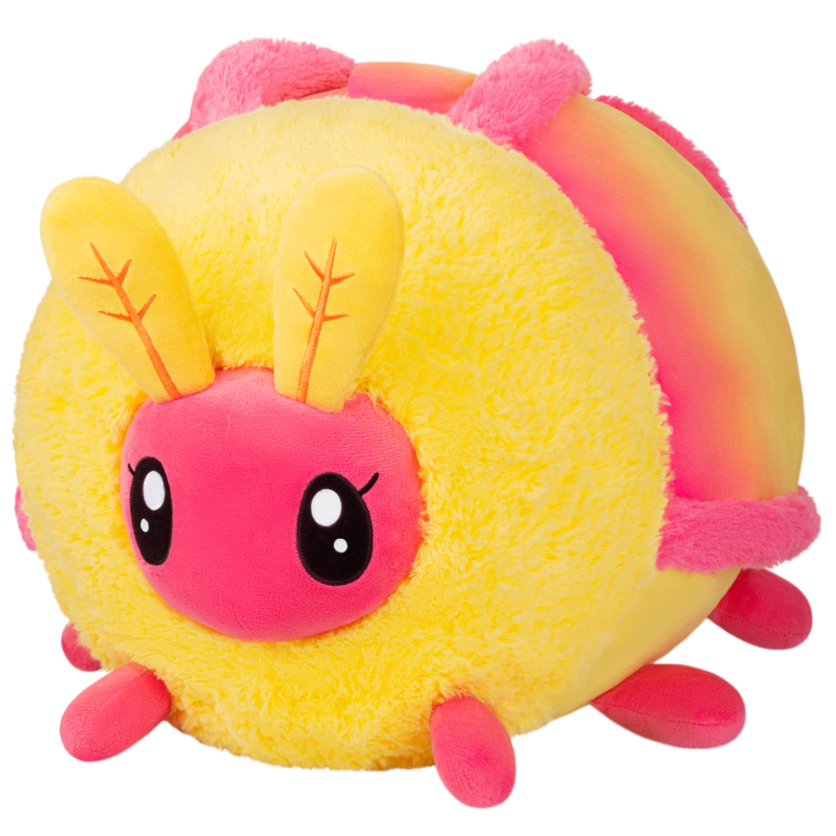 Squishable Rosy Maple Moth – RedFive Toys and Collectibles